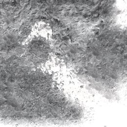 SDS EOS P3 NEXT | EOS GmbH