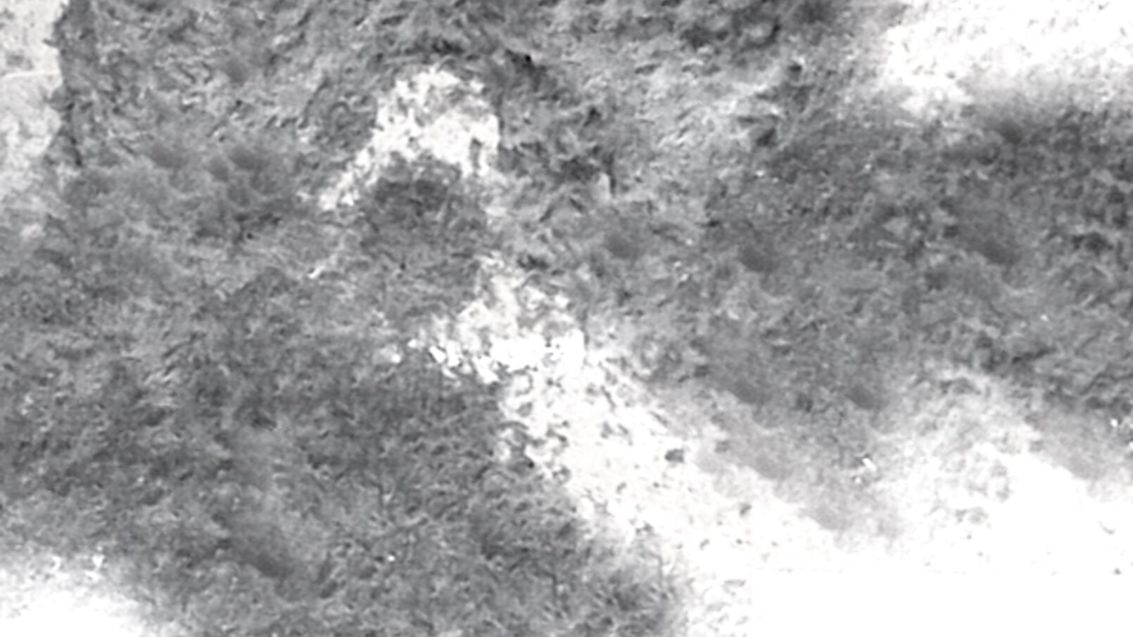 Polyamide 12 (PA 12) Powders for 3D Printing | EOS GmbH