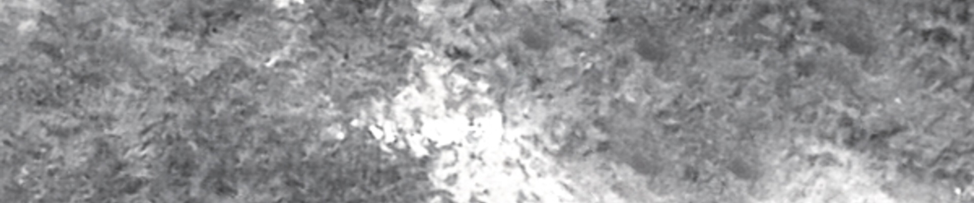 Alumide: Metallic Gray PA 12 Powder | EOS GmbH