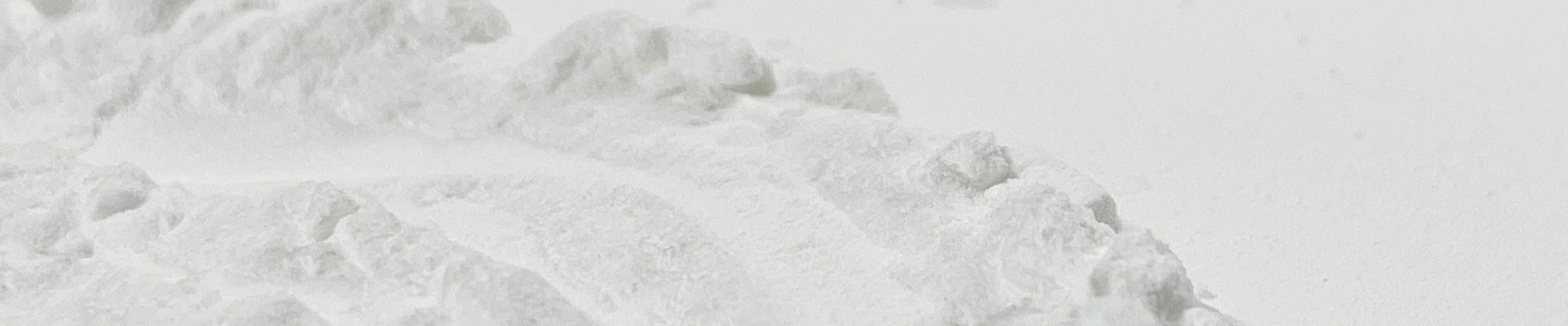 MDS PA 2200 Balance | EOS GmbH