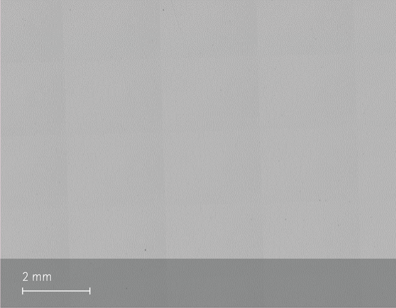 pds-eos-stainlesssteel-316l-4404-eos-m-290-40um | EOS GmbH